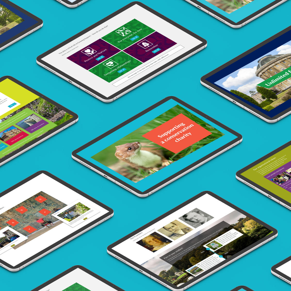 'Spotlight' Digital Learning Modules for Volunteers and Workforce