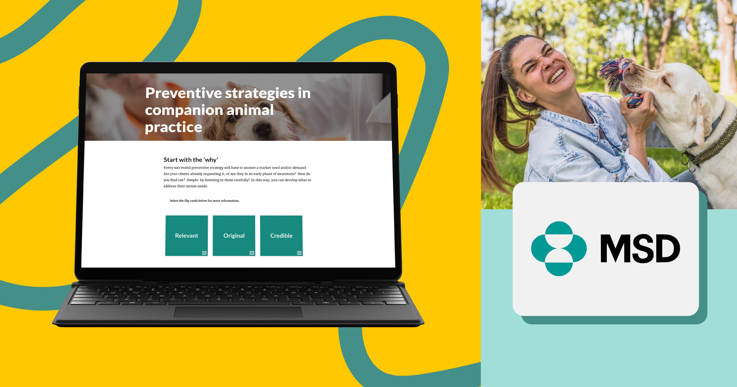 eLearning for Vets and Veterinary Nurses