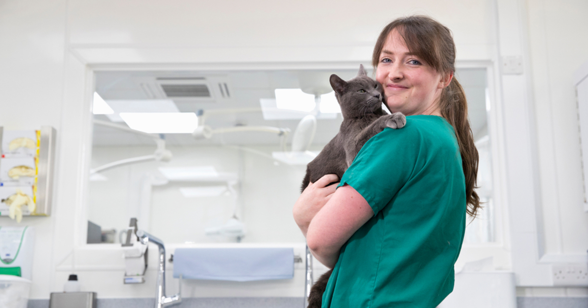 eLearning for Veterinary Care / Animal Health