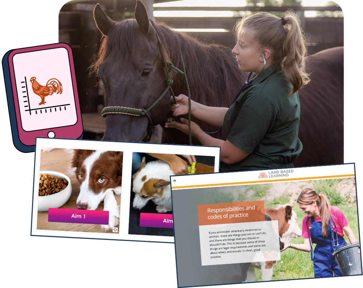 eLearning for Veterinary Care / Animal Health