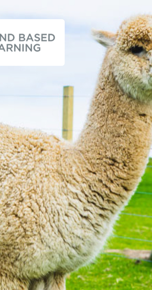 Digital courses for land-based learning