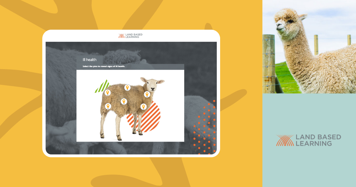 Digital courses for land-based learning